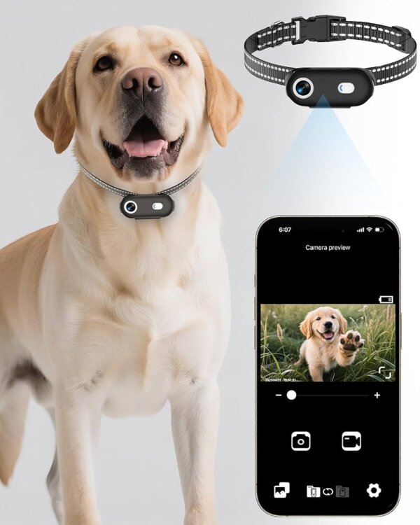 Choosing Your Camera Collar For Dogs: Key Specs to Compare in 2025